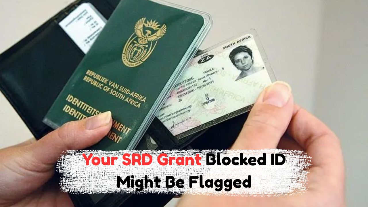 August 2025 SRD Grant: Check If Your ID Number Is Flagged for ...